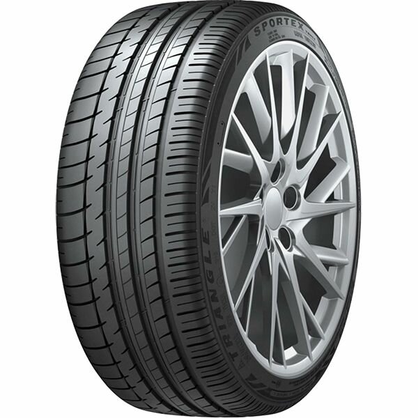 Шины летние Triangle TH201 295/30 R19 100Y