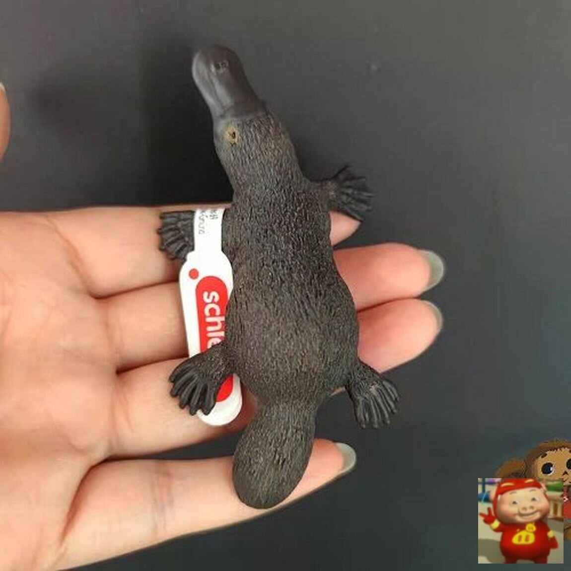 Schleich. Фигурка коллекционная "Утконос"14840