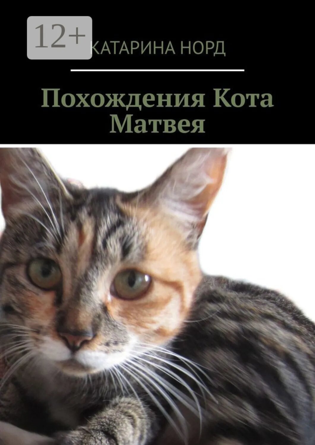 Похождения кота Матвея [Цифровая книга]