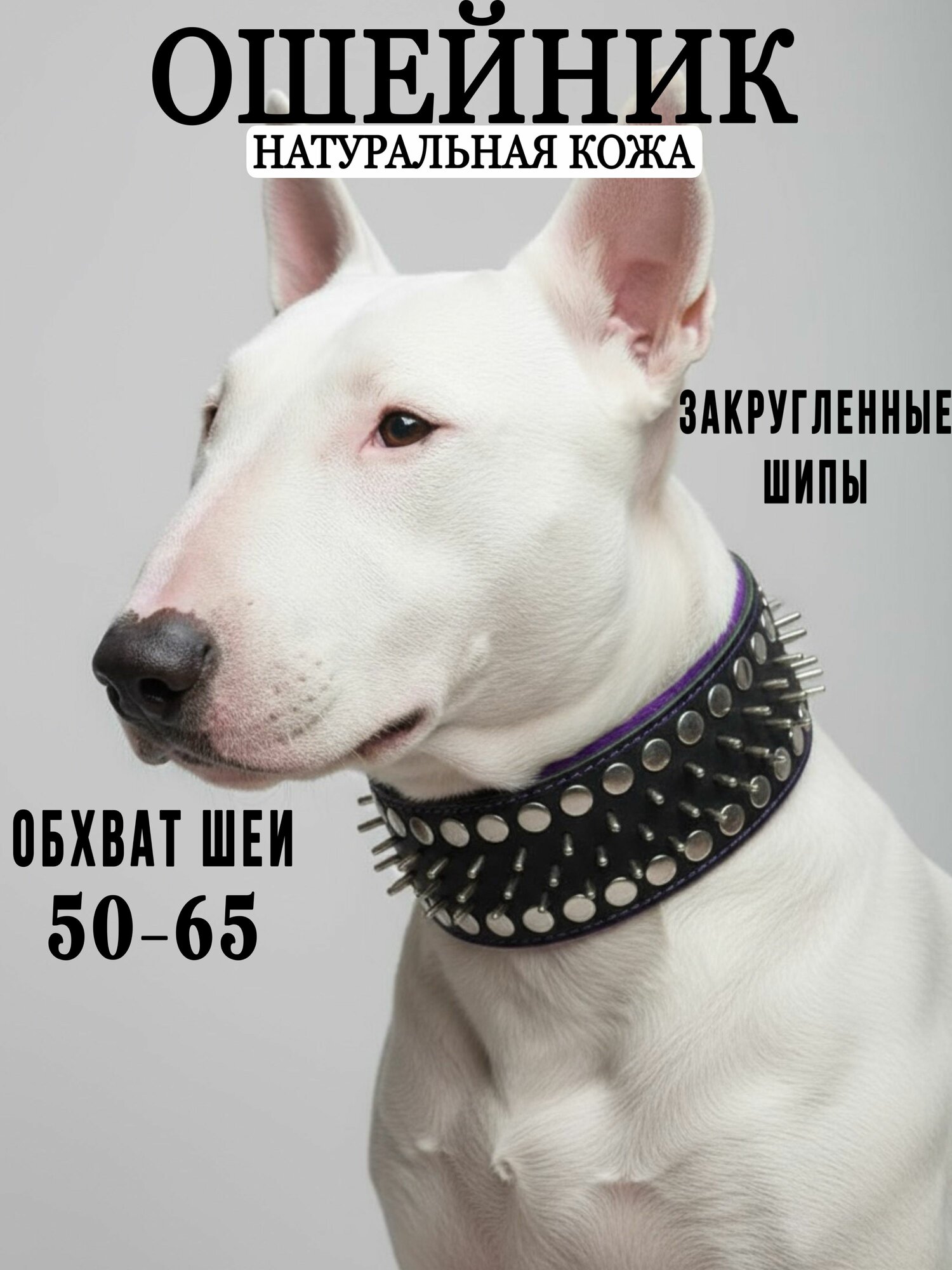 Ошейник с шипами для крупных пород собак, обхват 50-65см