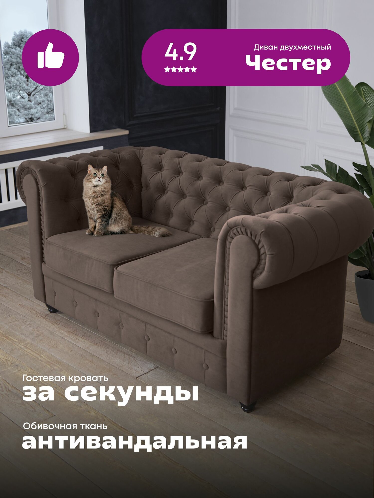 Прямой диван в гостиную "Честер" с раскладушкой (темно-коричневый Teddy 727)