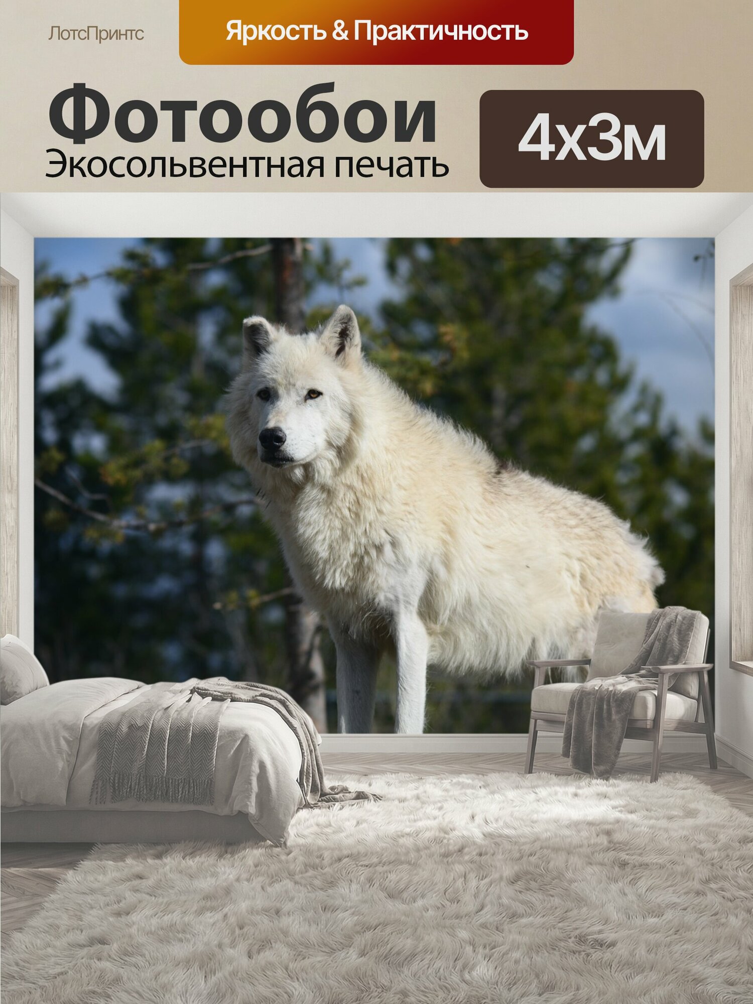 Фотообои "Волк, canis волчанка, йеллоустонский национальный парк" 400x300 см. экосольвентная печать
