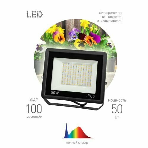 Светильник светодиодный FITO-50W-Ra90-LED для цветения и плодоношения ЭРА Б0047875