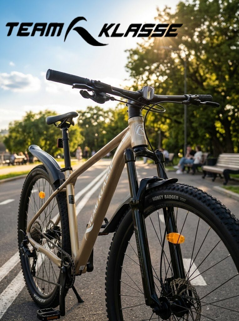 Велосипед Team Klasse FB-5, горный, 9 скоростей, диаметр колес 29", рама 16", бежевый