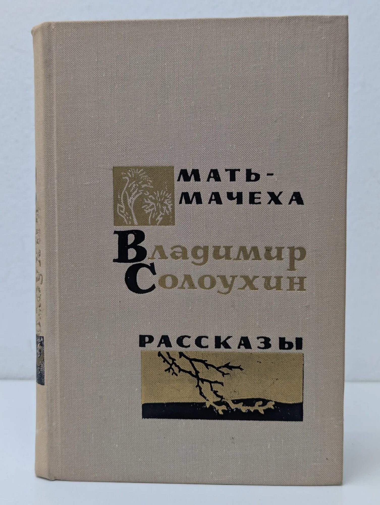 Мать-мачеха. Рассказы Солоухин Владимир Алексеевич 1971