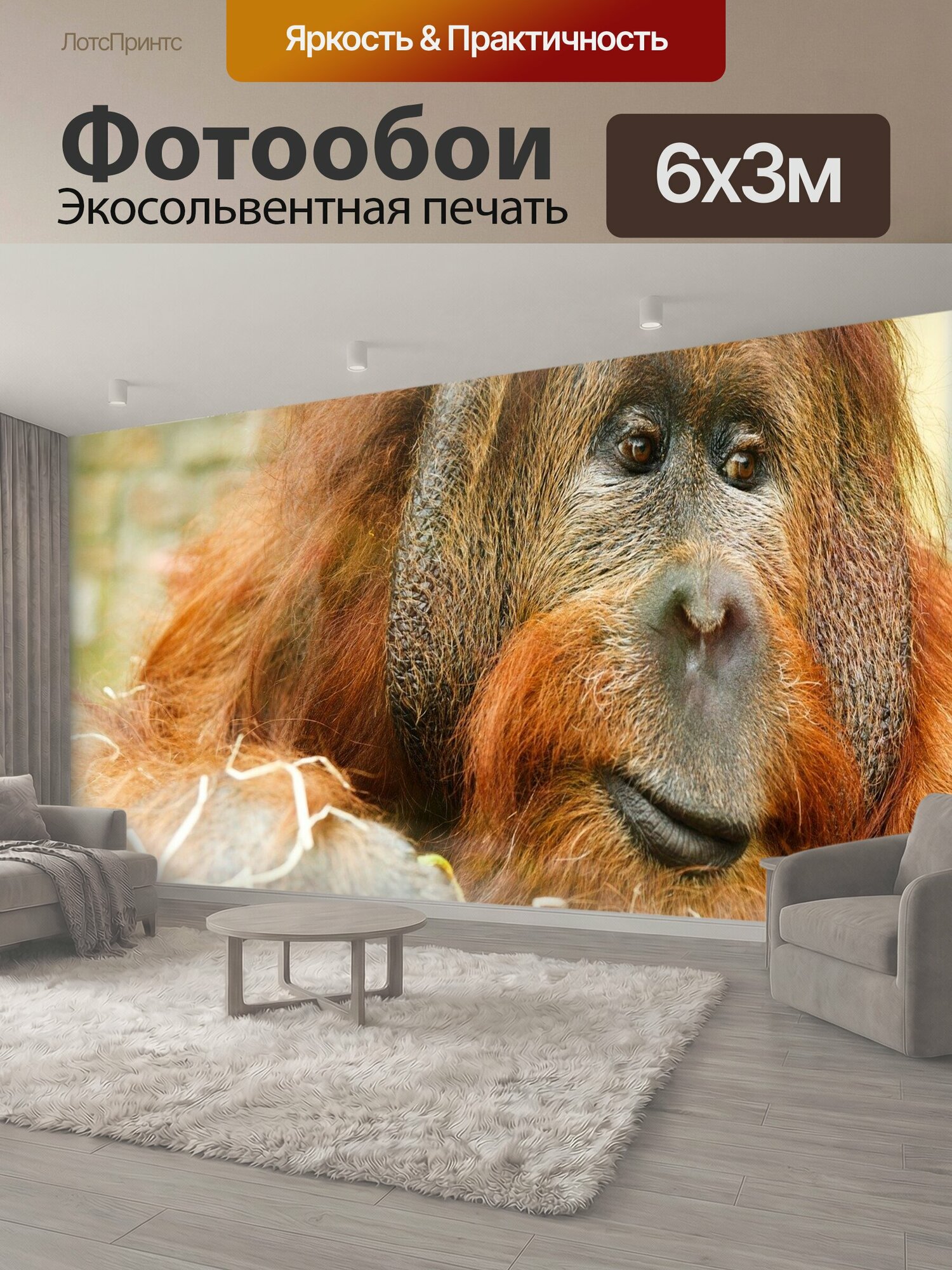 Фотообои "Взрослый, животное, обезьяна" 600x300 см. экосольвентная печать
