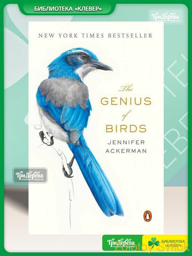 Книга Jennifer Ackerman "The Genius of Birds", энциклопедия, 2017 г, на английском языке