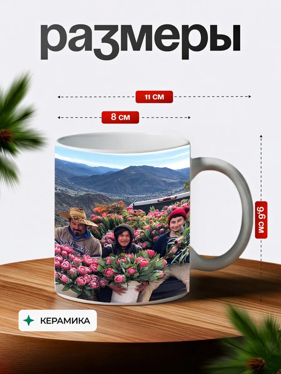 Кружка Протеи 3, — фото 1