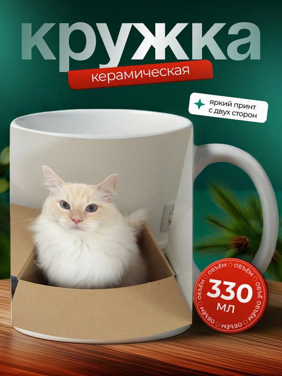 Кружка Турецкая ангора кошка 41,
