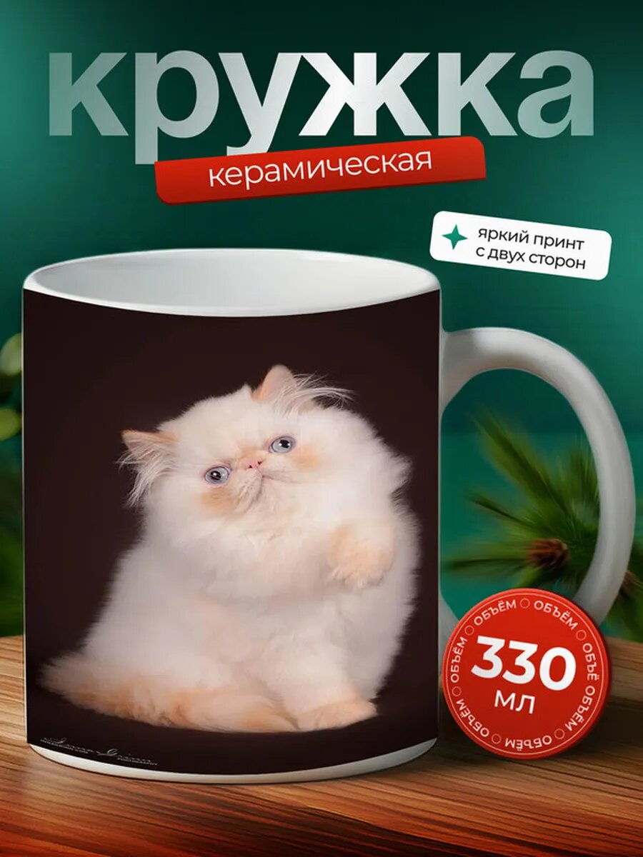 Кружка Иранский персидский кот 17,