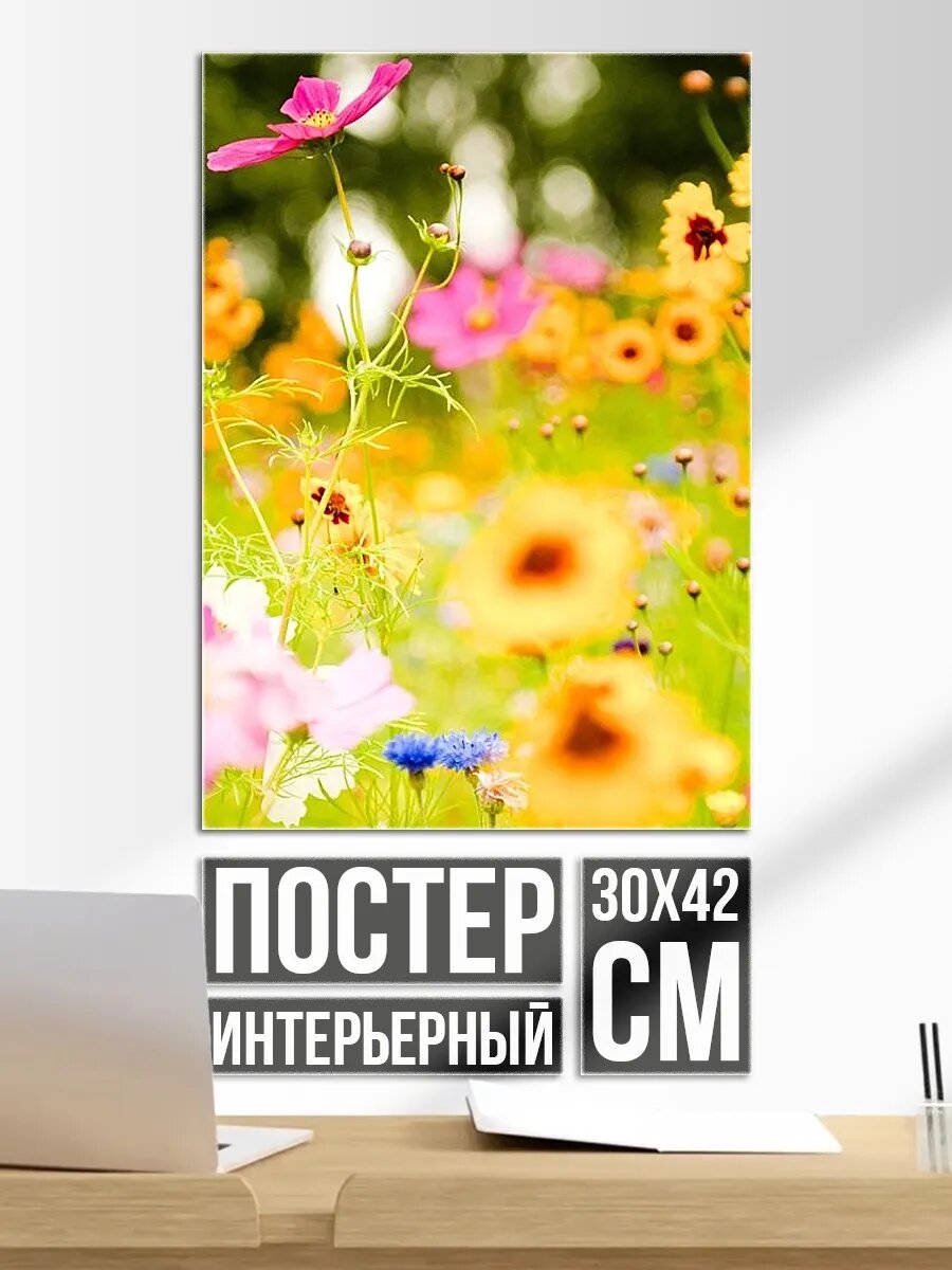 Плакат постер Цветочный луг