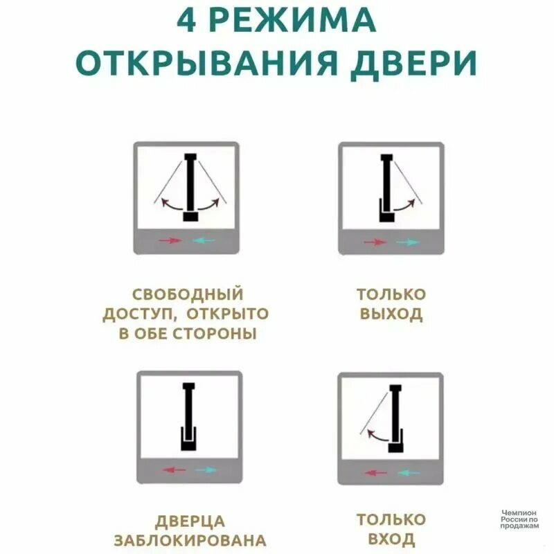 Дверца для животных — фото 1