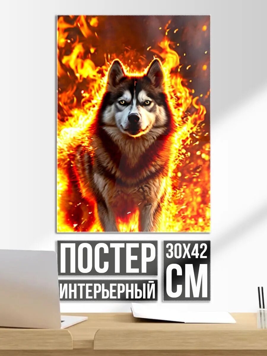 Постер на стену Сибирский Хаски в огне