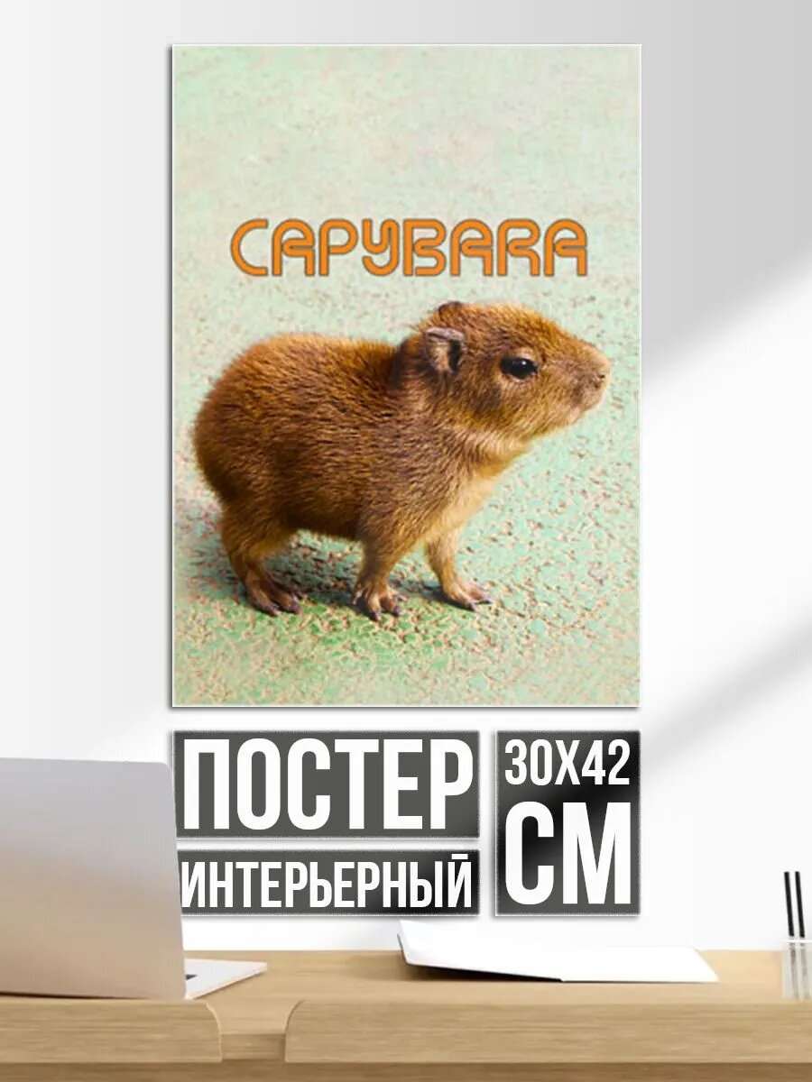 Постер на стену Детёныш капибара