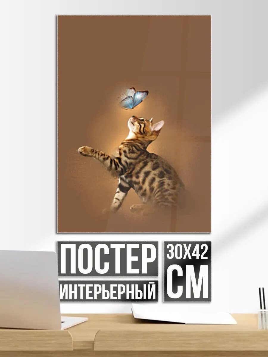 Постер на стену Бенгал котенок