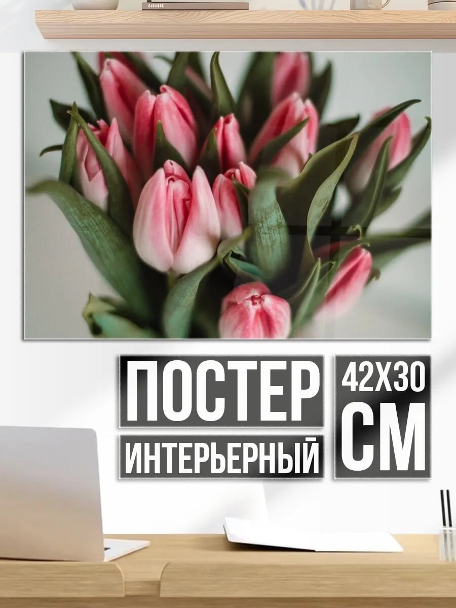 Плакат постер Букет розовых тюльпанов