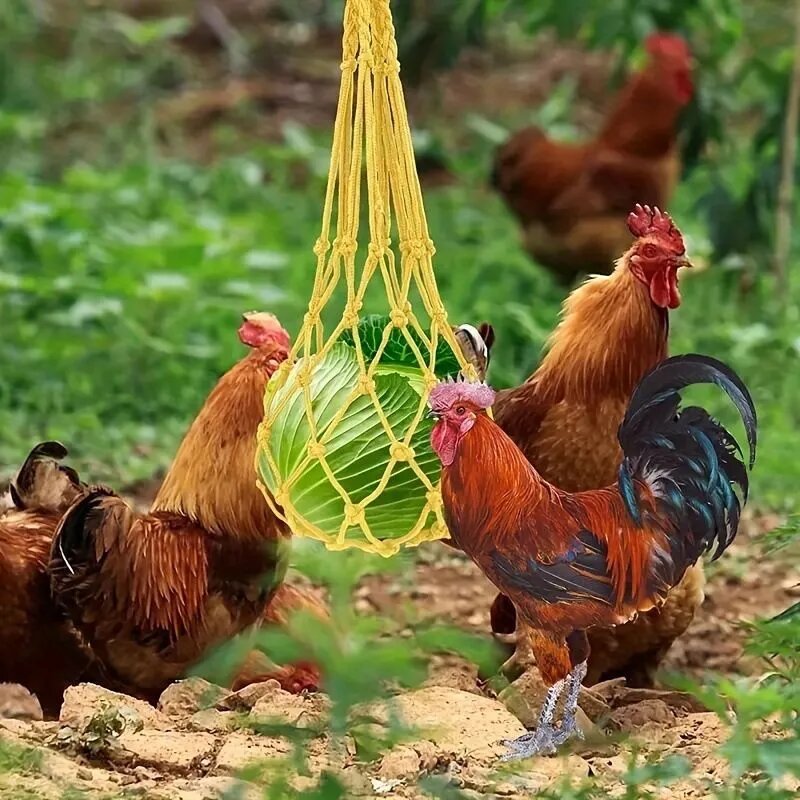 Кормушка