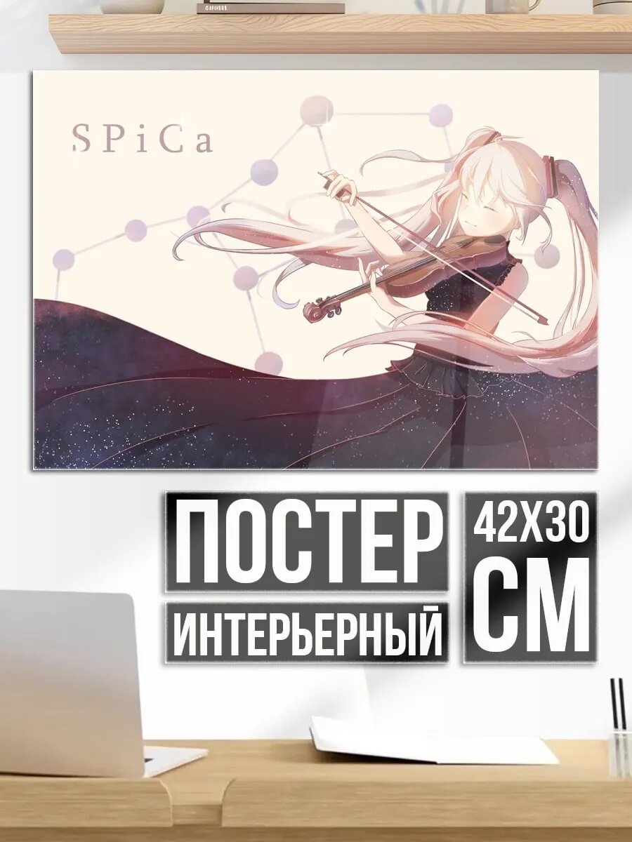 Плакат постер SPiCa скрипка
