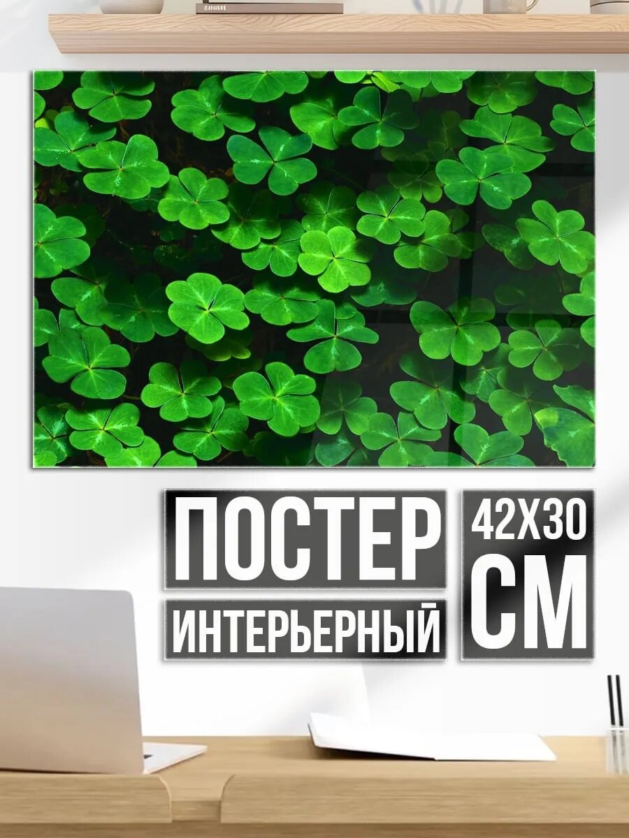 Плакат постер Зеленый Клевер