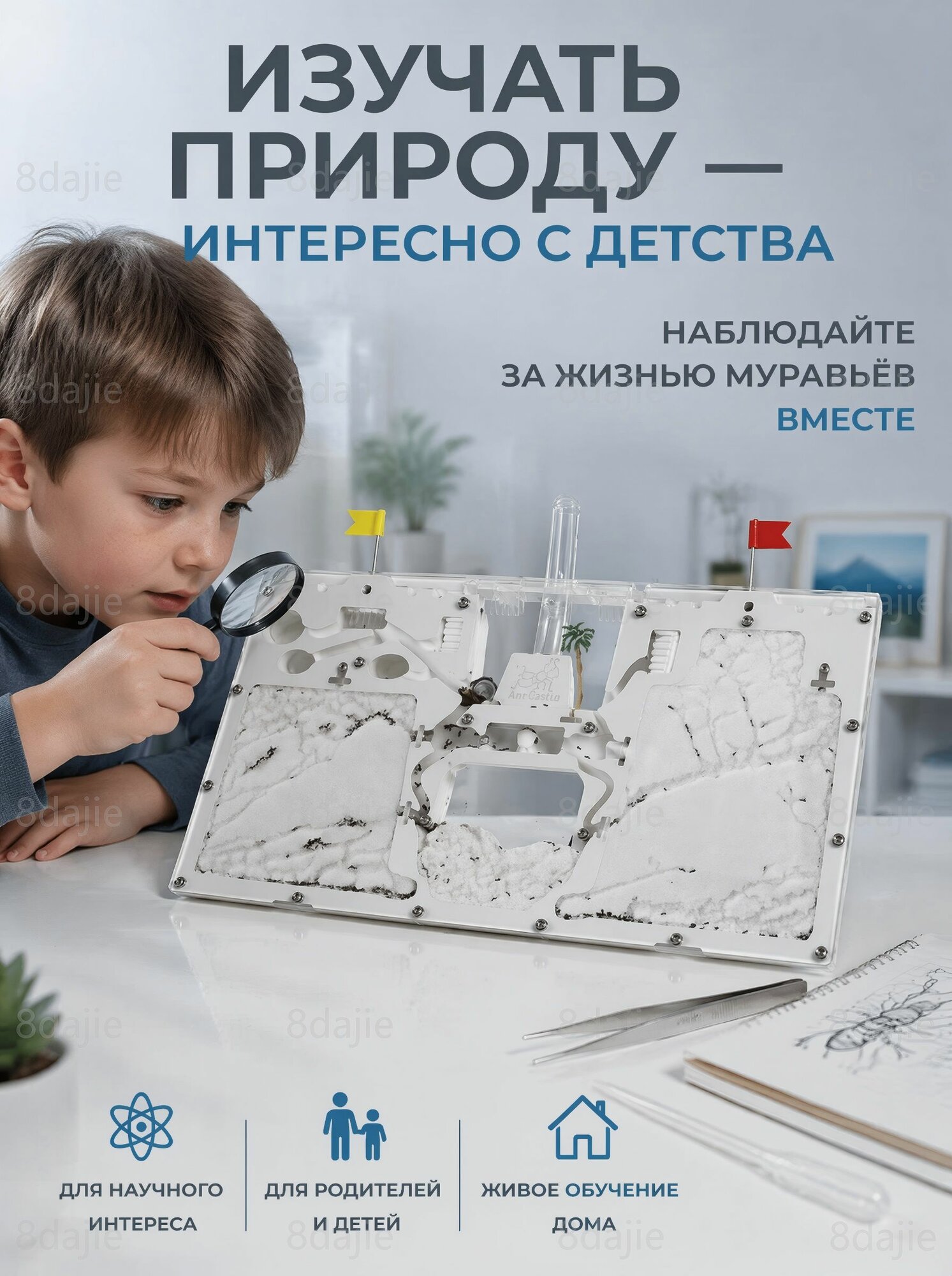 Муравьиная ферма "Две башни", вертикальный формикарий из акрила, полный набор, муравьев в комплекте нет