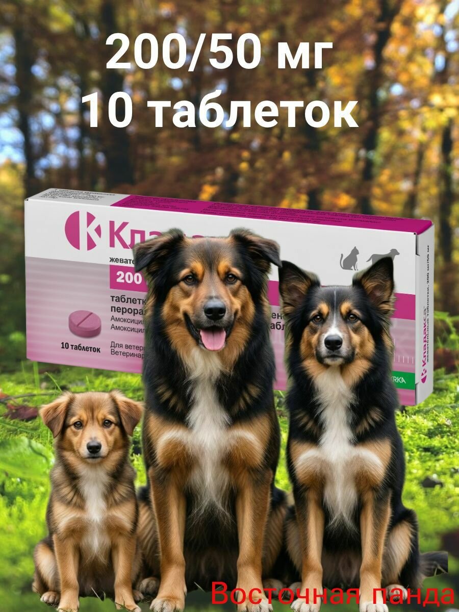Ветеринарная Противовоспалительная аптечка для котов и собак 200/50