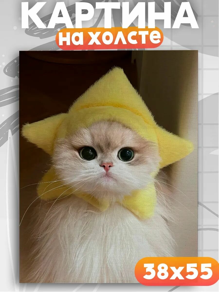 Картина на стену интерьерные Милые котики на подрамнике, 1шт, 55х38 размер.