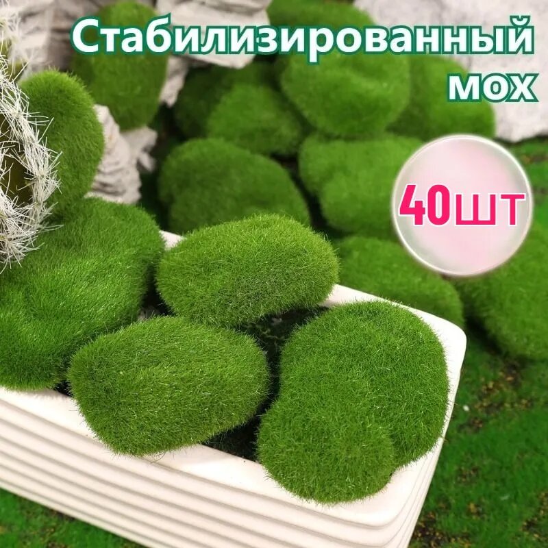 Стабилизированный мох Мох, 40 шт