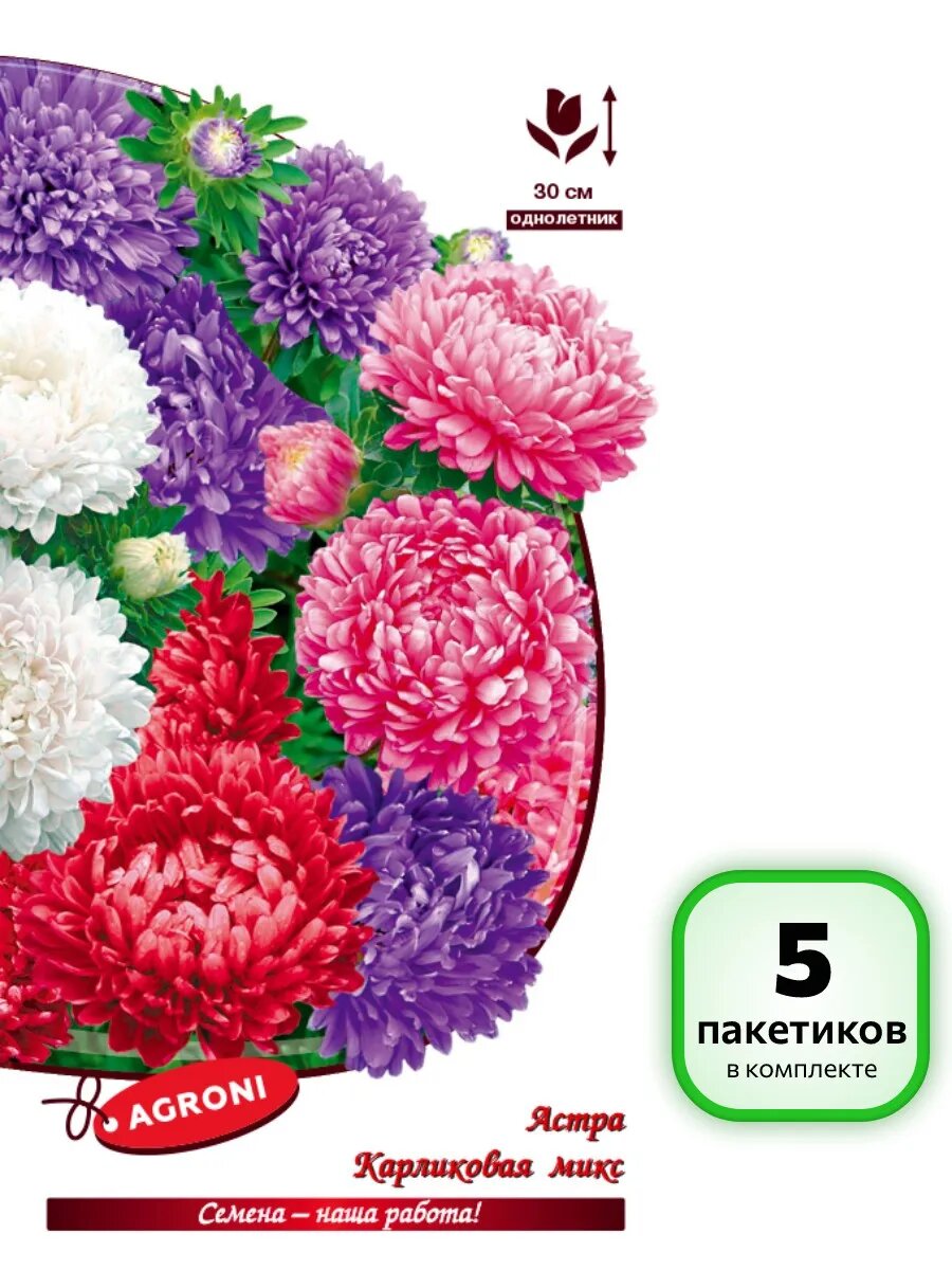(5 шт.) - Семена Астра карликовая микс (0,3г)