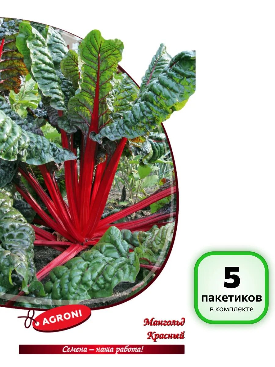 (5 шт.) - Семена Мангольд красный (1,0г)