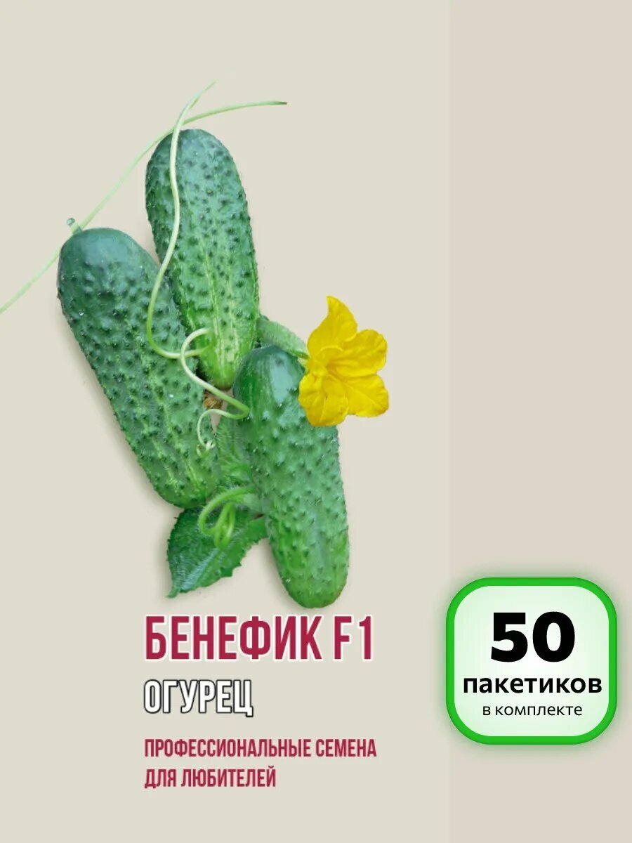 (50 шт.) - Семена Огурец бенефик F1 5 шт
