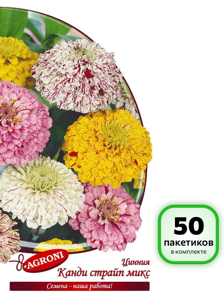 (50 шт.) - Семена Цинния изящная Канди страйп микс (0,3г)