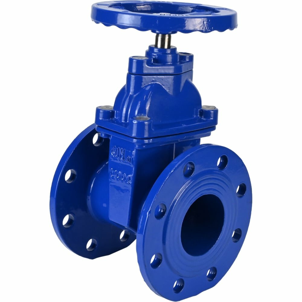 Задвижка клиновая DN.ru 30ч39р (аналог МЗВ) GGG50-GGG50-EPDM-F-S blue Ду100 Ру10/16 D040-08624