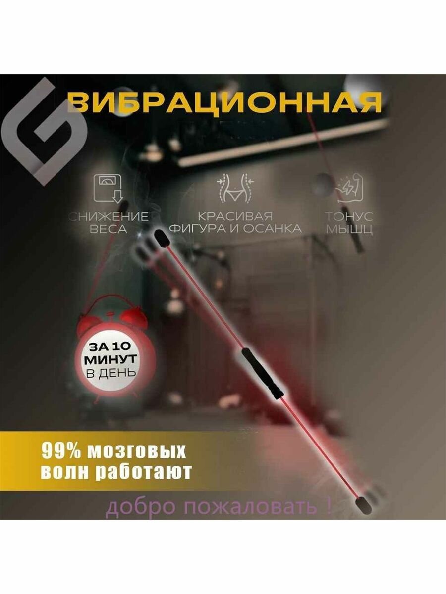 Бодибар