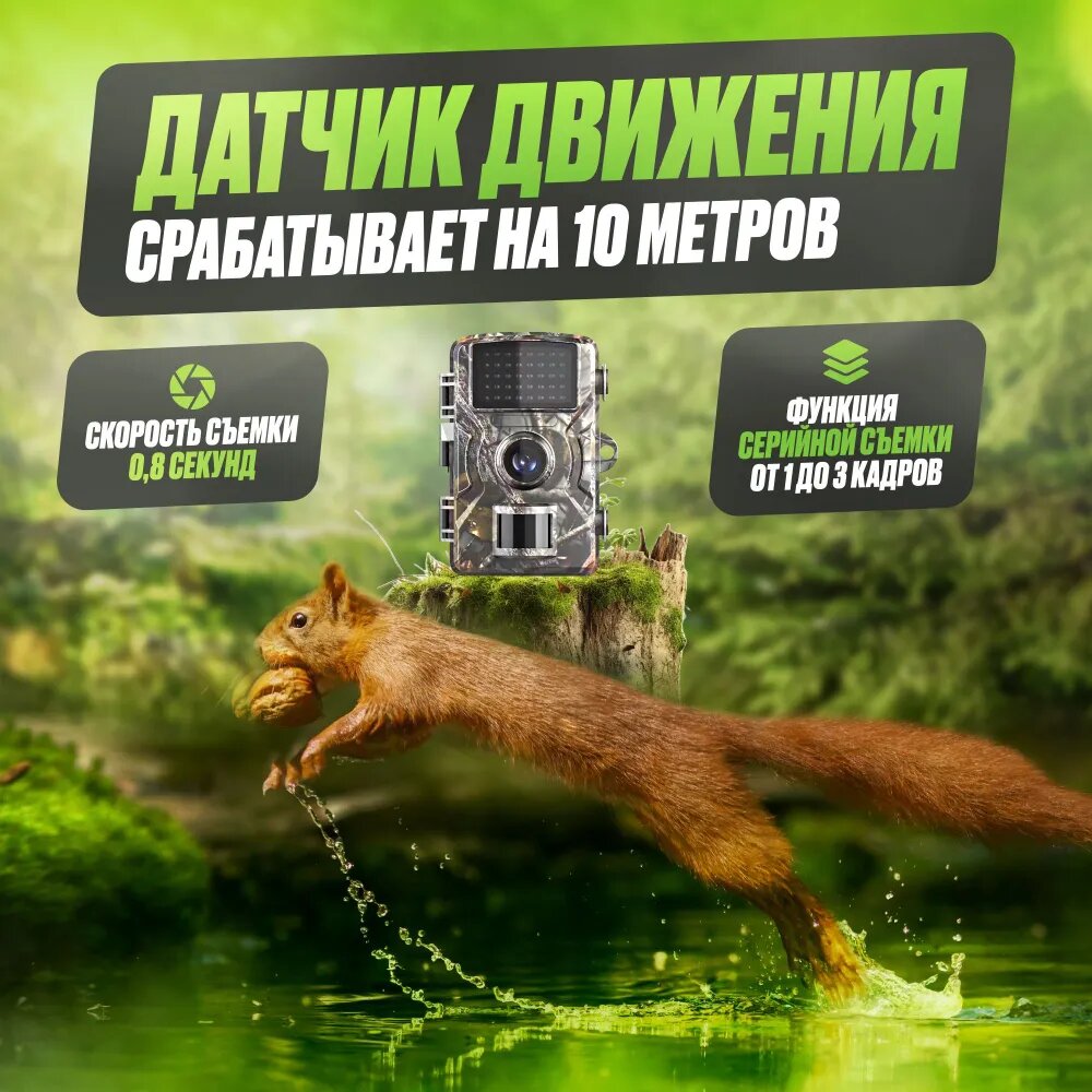 Фотоловушка — фото 1