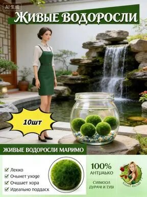 Живые водоросли 10 шт с круглым прозрачным сосудом для аквариума и флорариума