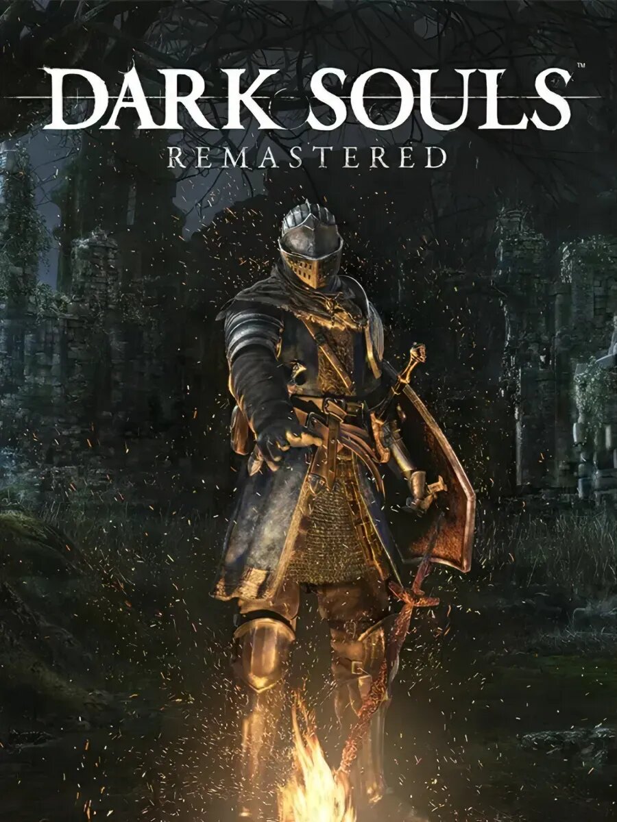 Dark Souls Remastered, игра для ПК (на флешке USB)