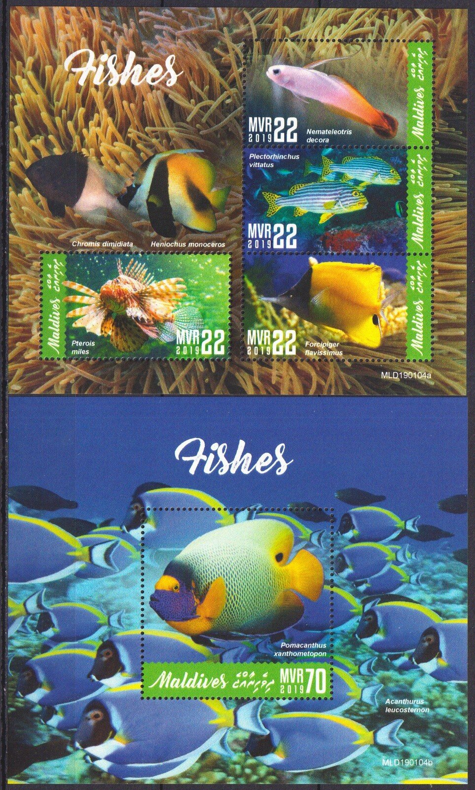 Марки 2019 год Мальдивы Рыбы Морская жизнь Фауна #8219-22+Bl1309 Mnh