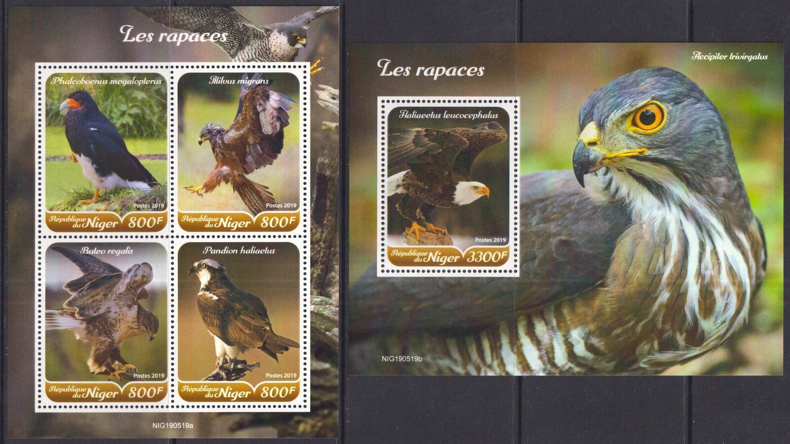 Марки 2019 год Нигер Хищные птицы Фауна #6891-6894+Bl1067 Mnh