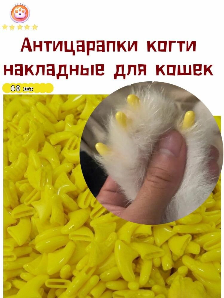 Антицарапки60 шт, колпачки на когти для кошек, колпачки защитные на ногти для кошек и котят, Мягкие коготки