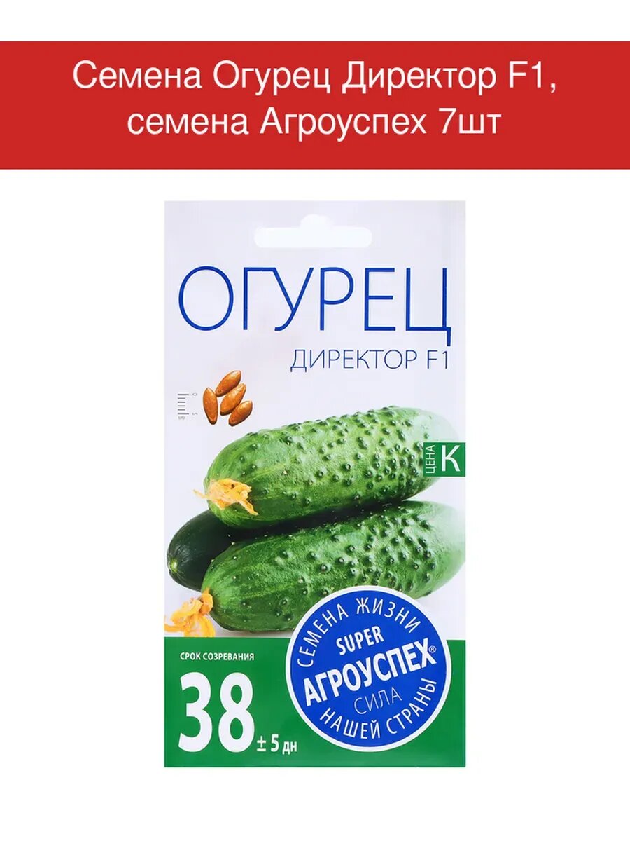 Семена Огурец Директор F1, семена Агроуспех 7шт