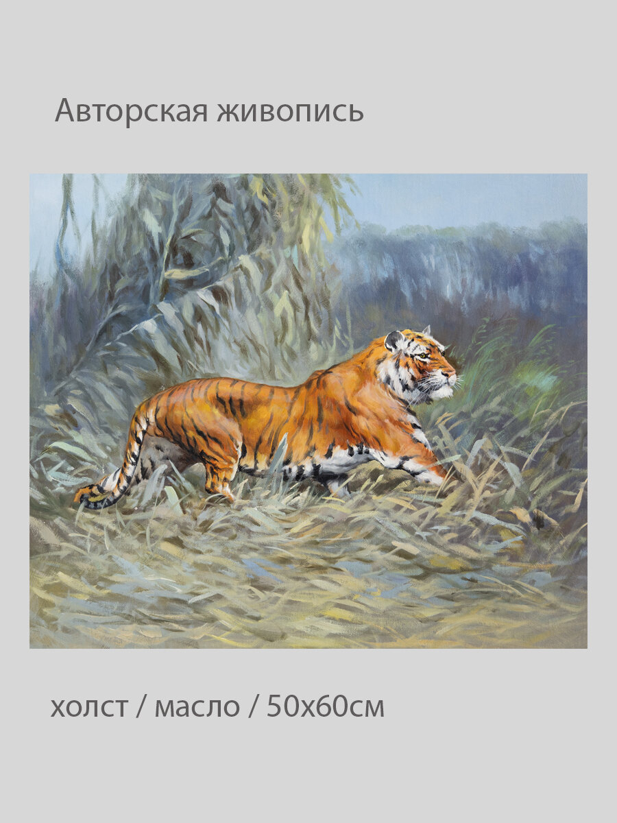 Картина маслом "Тигр на охоте" 50х60см