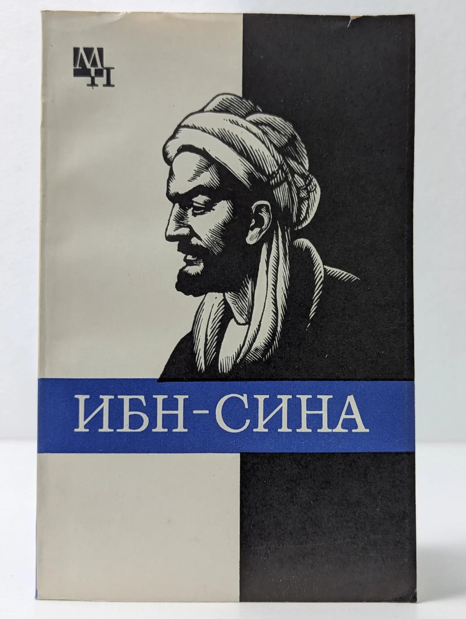 Мыслители прошлого. Ибн-Син. Авиценна Сагадеев Артур Владимирович 1980