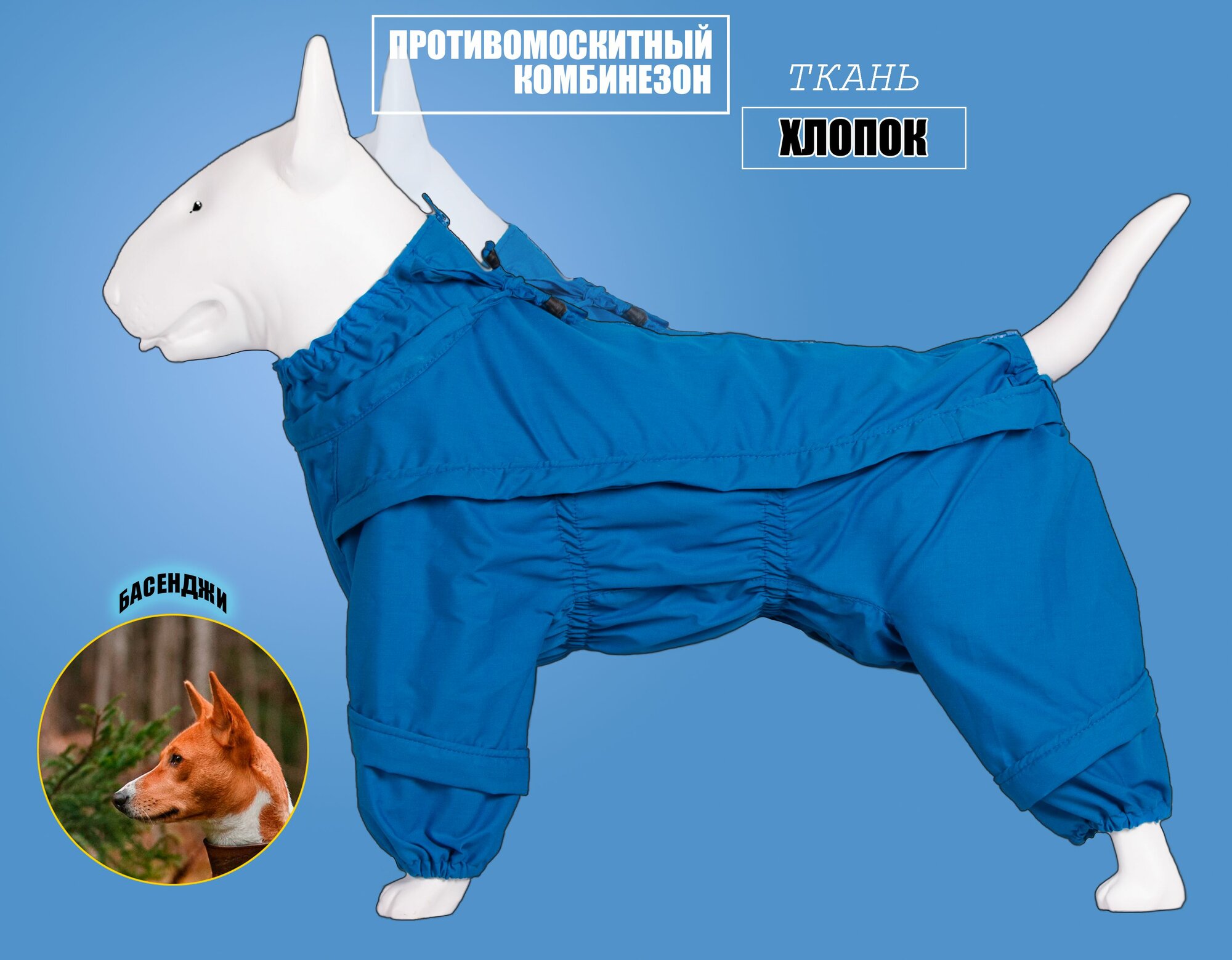 Комбинезон от клещей для басенджи суки, цвет голубой