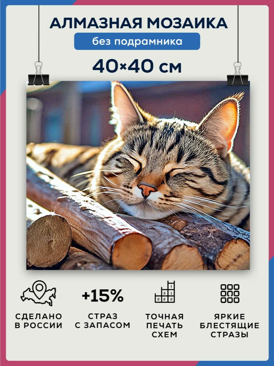 Алмазная мозаика 40x40 Деревенский кот без подрамника