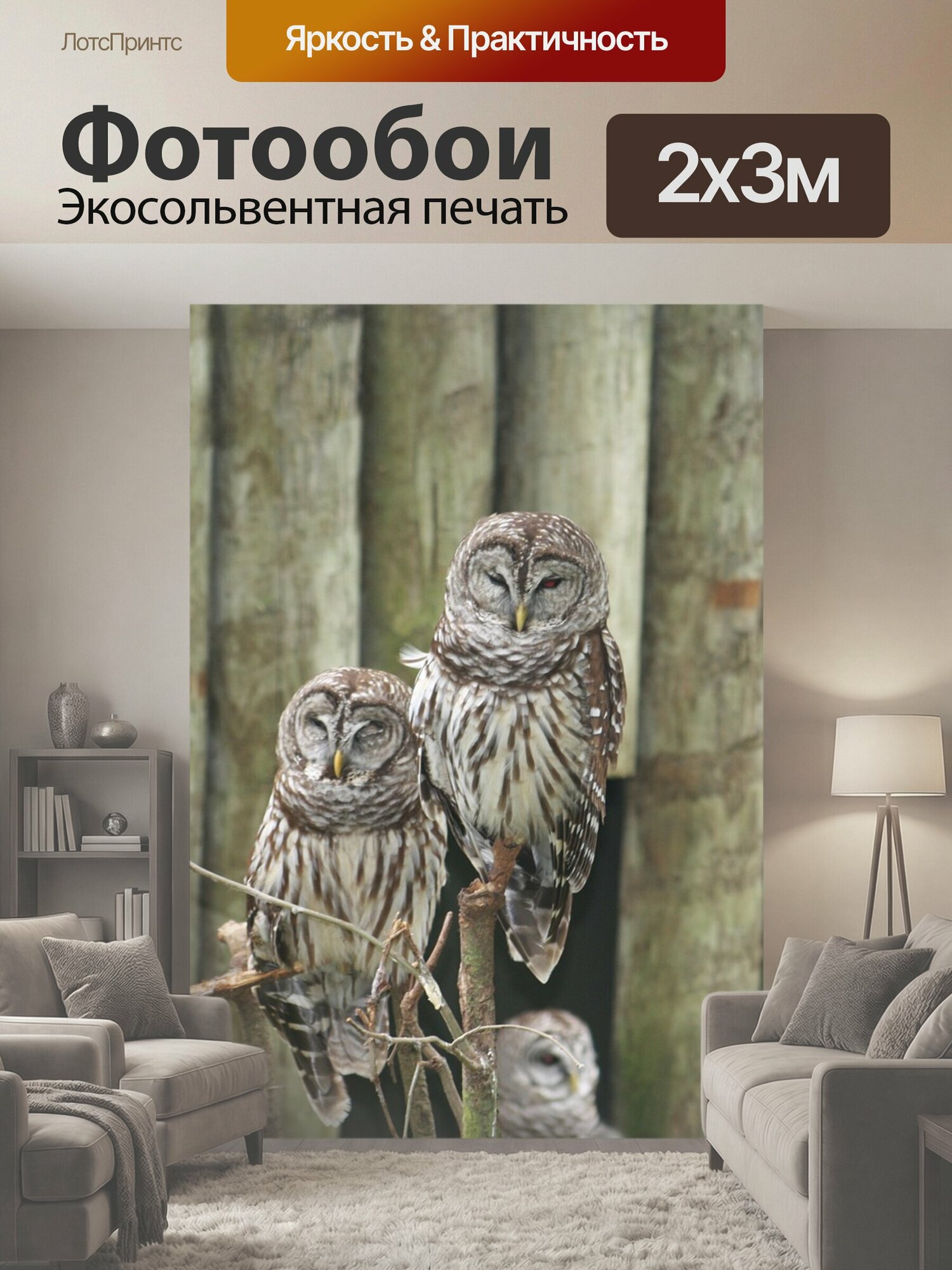 Фотообои "Сова, совы, зоопарк" 200x300 см. экосольвентная печать