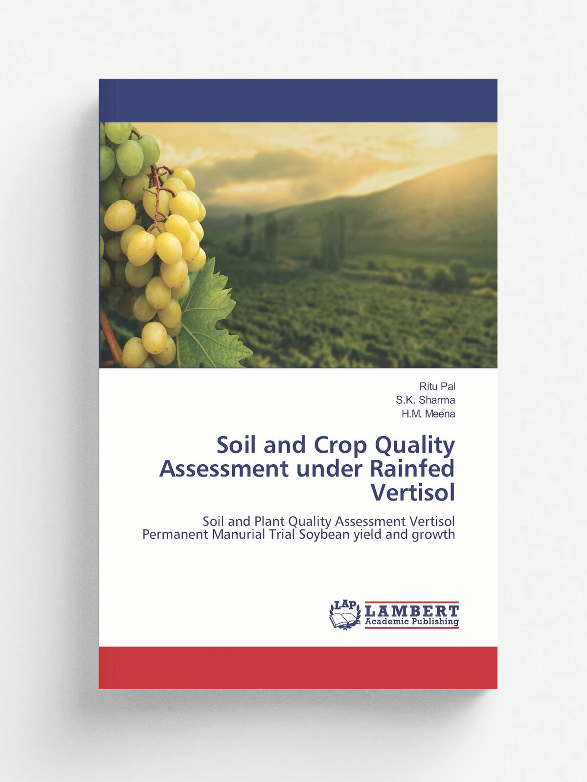 Soil and Crop Quality Assessment under Rainfed Vertisol