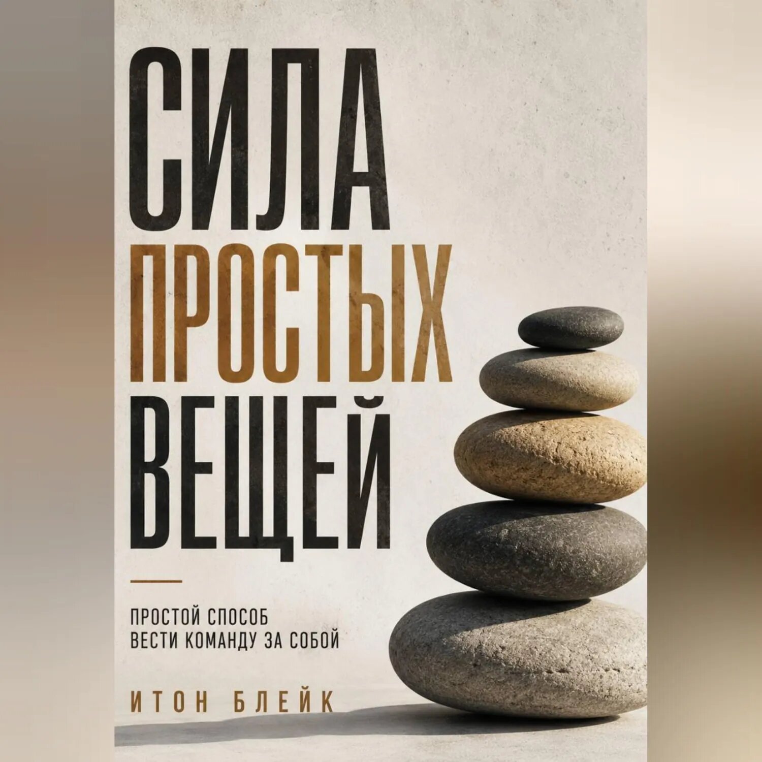 Сила простых вещей. Простой способ вести команду за собой [Аудиокнига]
