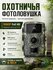 Фотоловушка