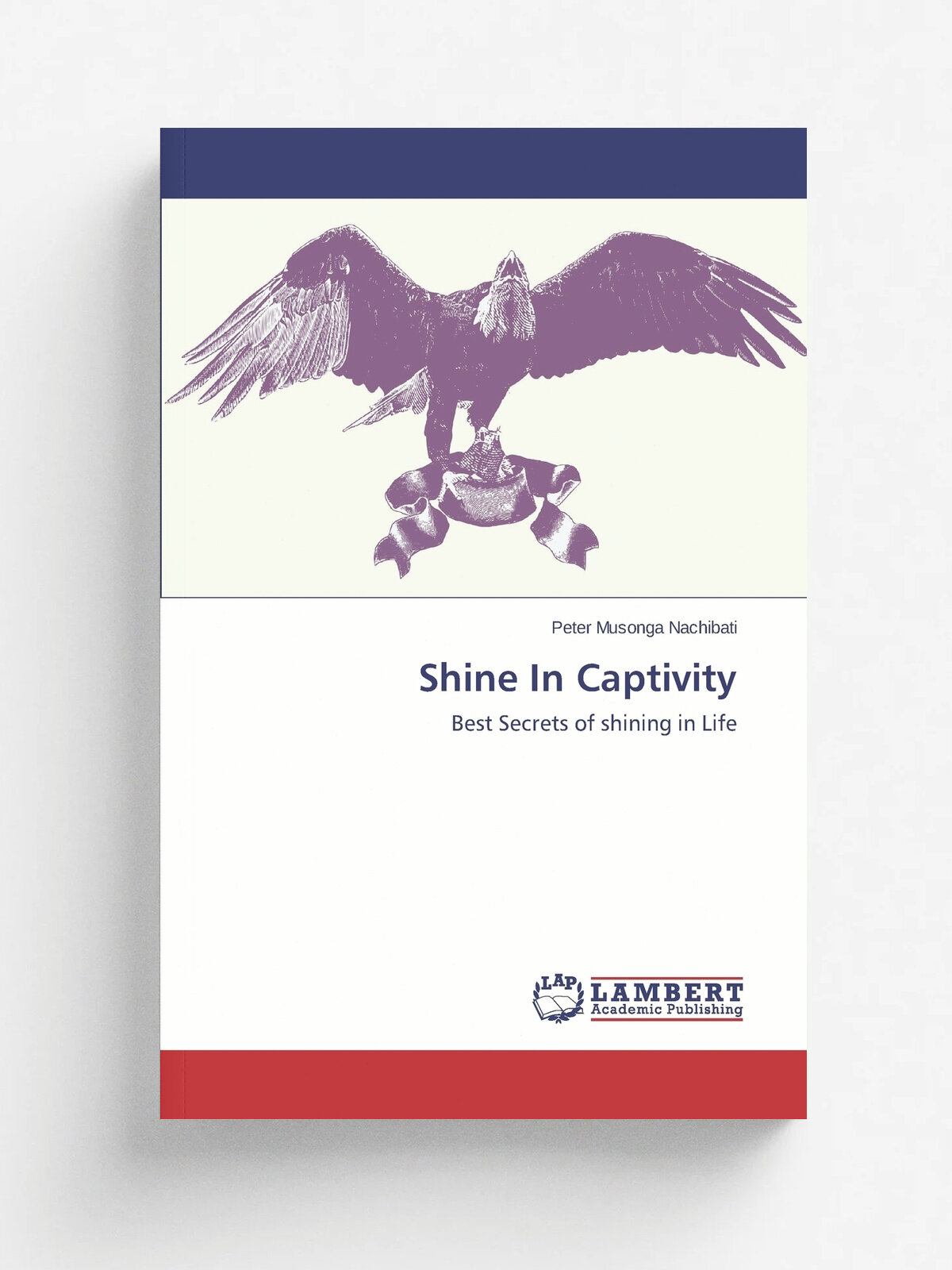 Shine In Captivity
