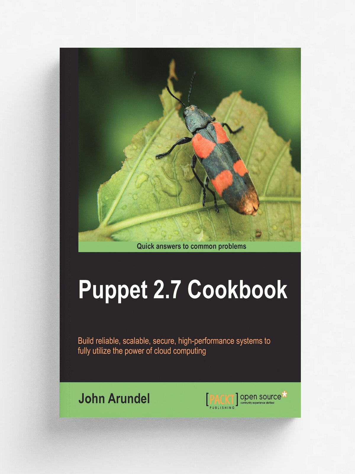 Puppet 2.7 Cookbook